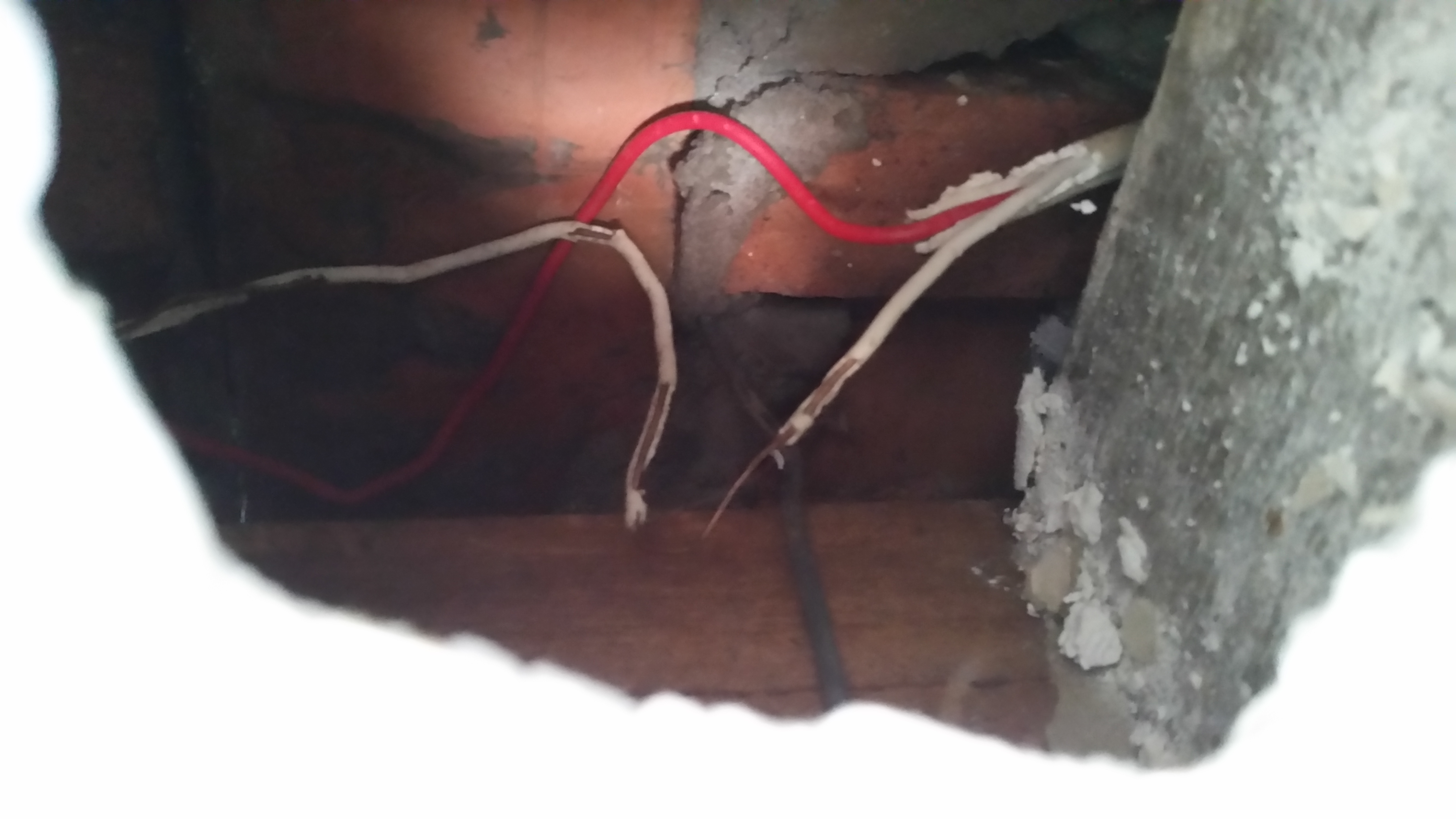 Photo Gallery of pest control services by Pest Terminators